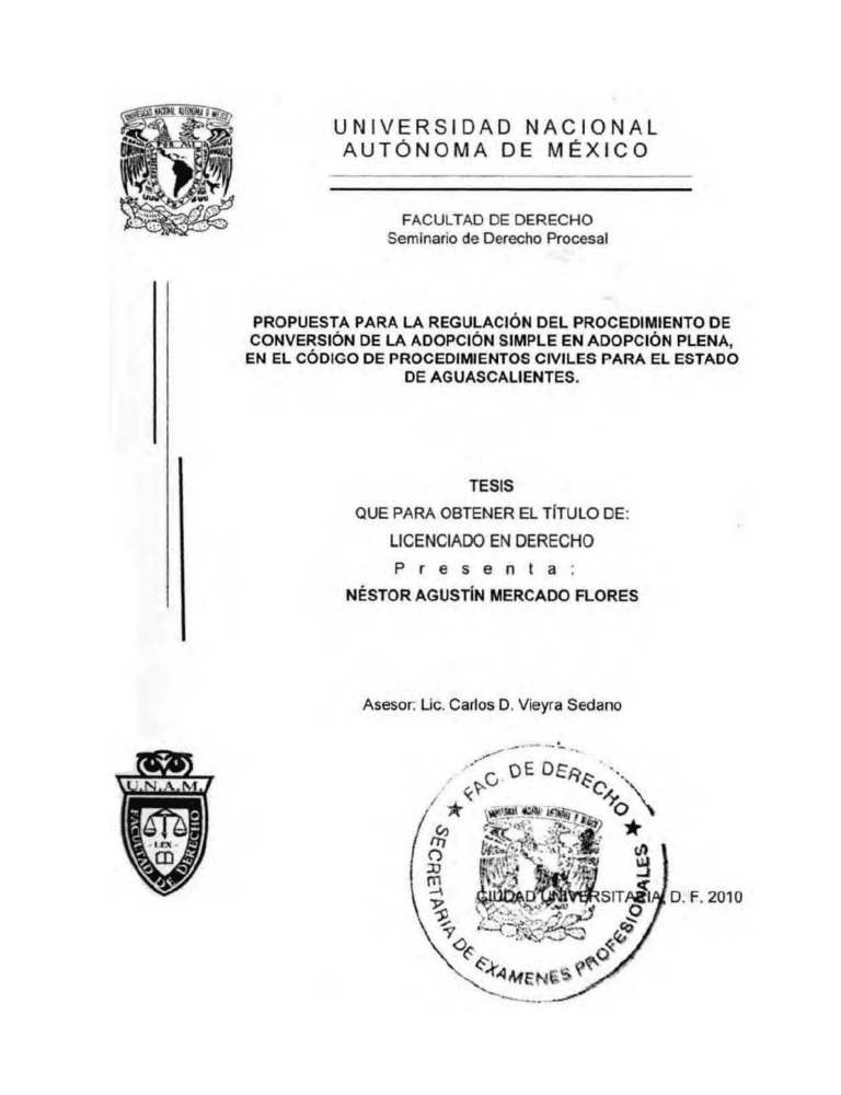 Adopción simple derogada: guía completa de expertos legales - EXPERTOS ...