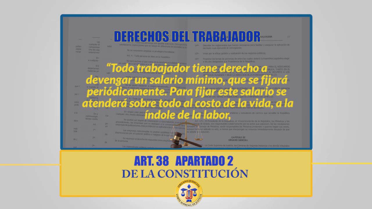 Importancia del artículo 38 de la Constitución para abogados - EXPERTOS ...